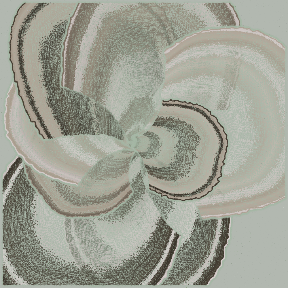 Padina #108 — Pawel Grzelak — fxhash