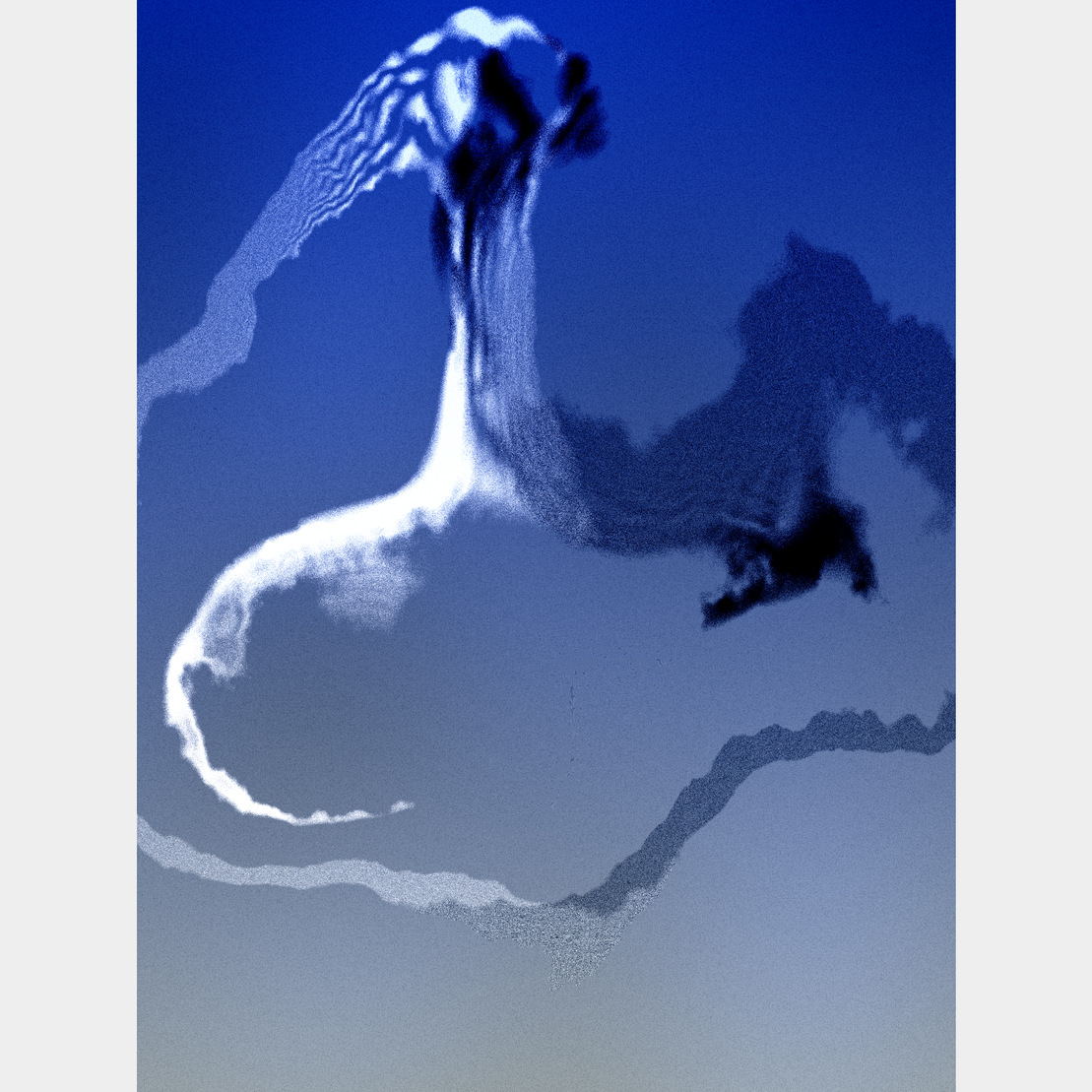 Seán profile — fxhash