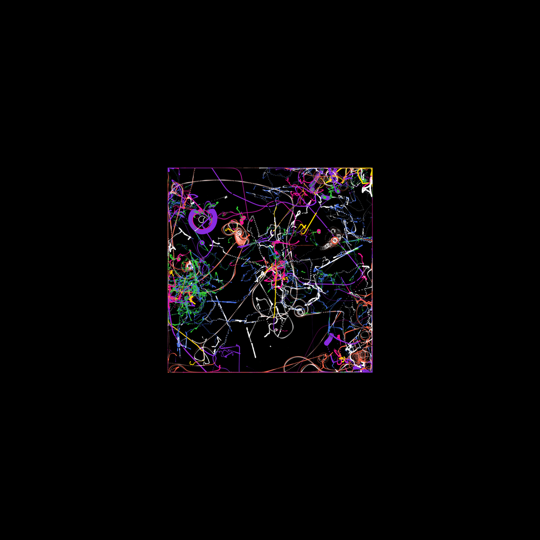 Cartografia Infinita das partículas #3 — Marcelo — fxhash