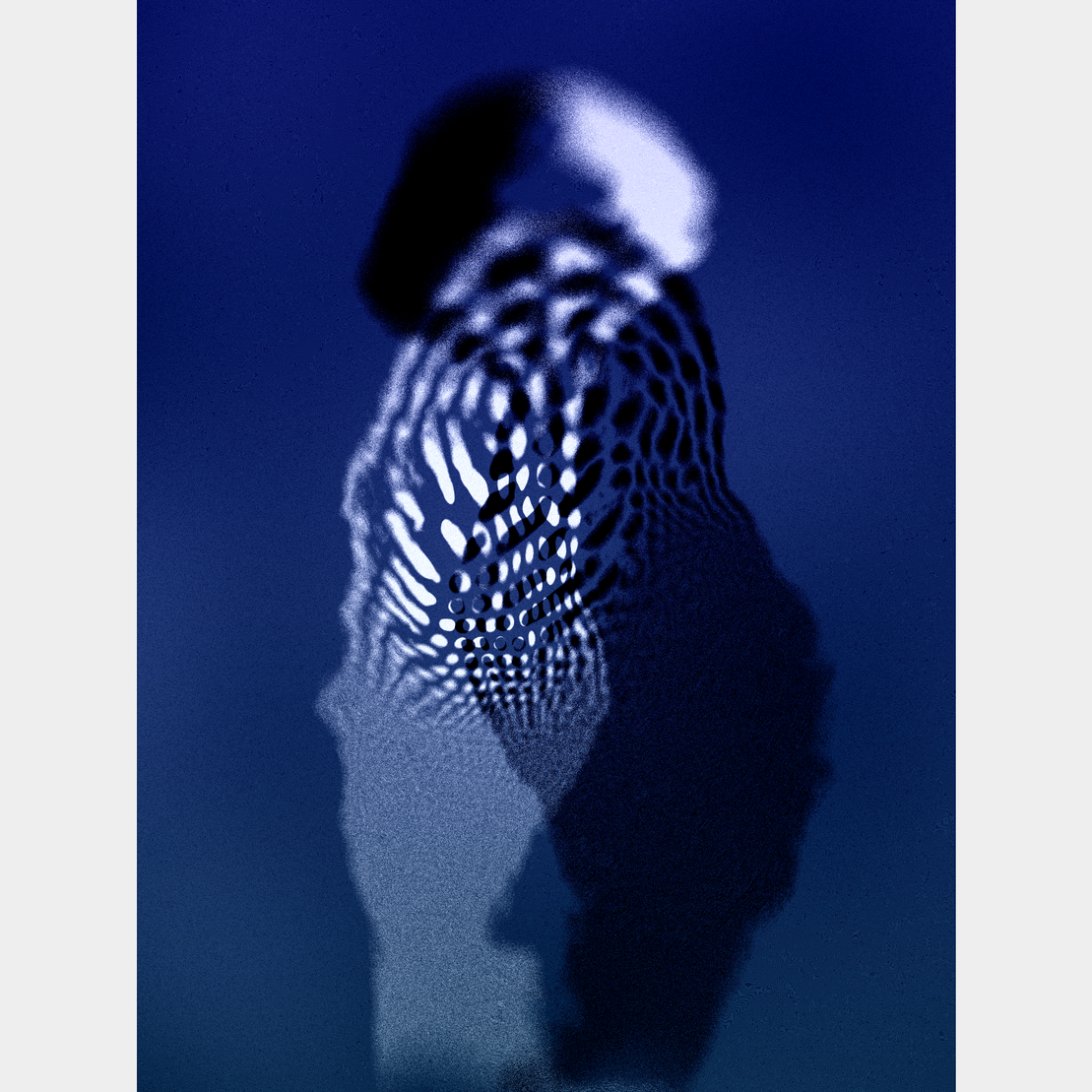 Seán profile — fxhash