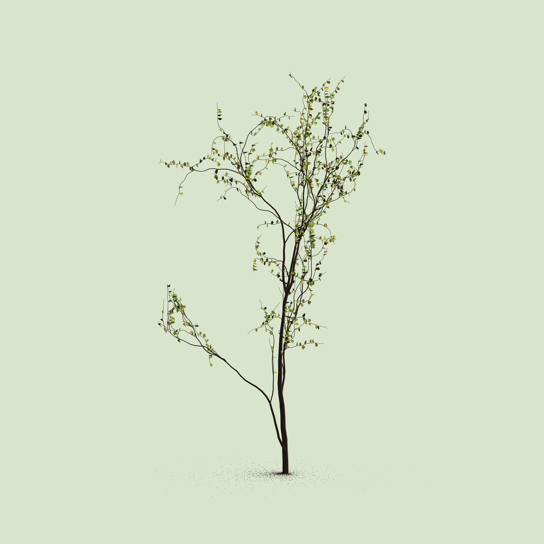 Little Trees — fxhash